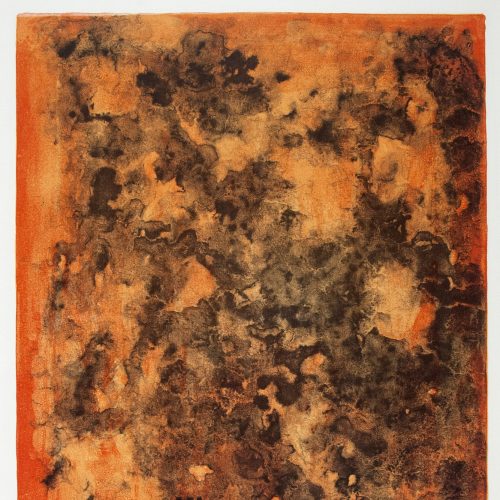 The Art, Ecology and Climate Project - Art Museum – Syracuse University